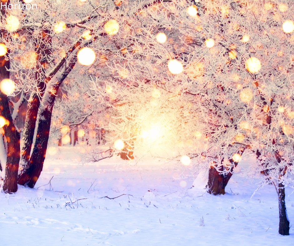 Winter Wonders in Lethbridge: - HORIZON LANDSCAPING